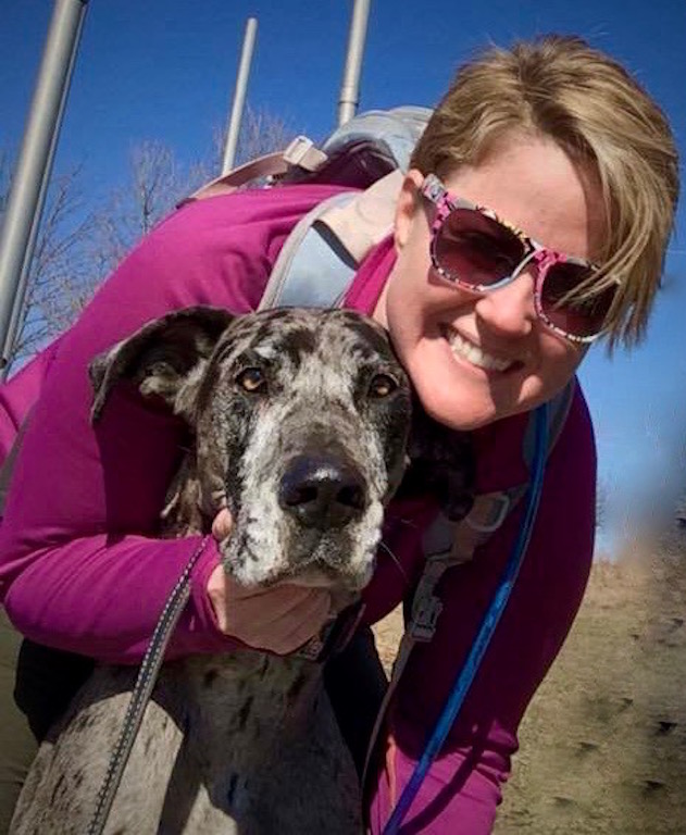 Pet Custody in Divorce - Who Gets the Family Beagle?